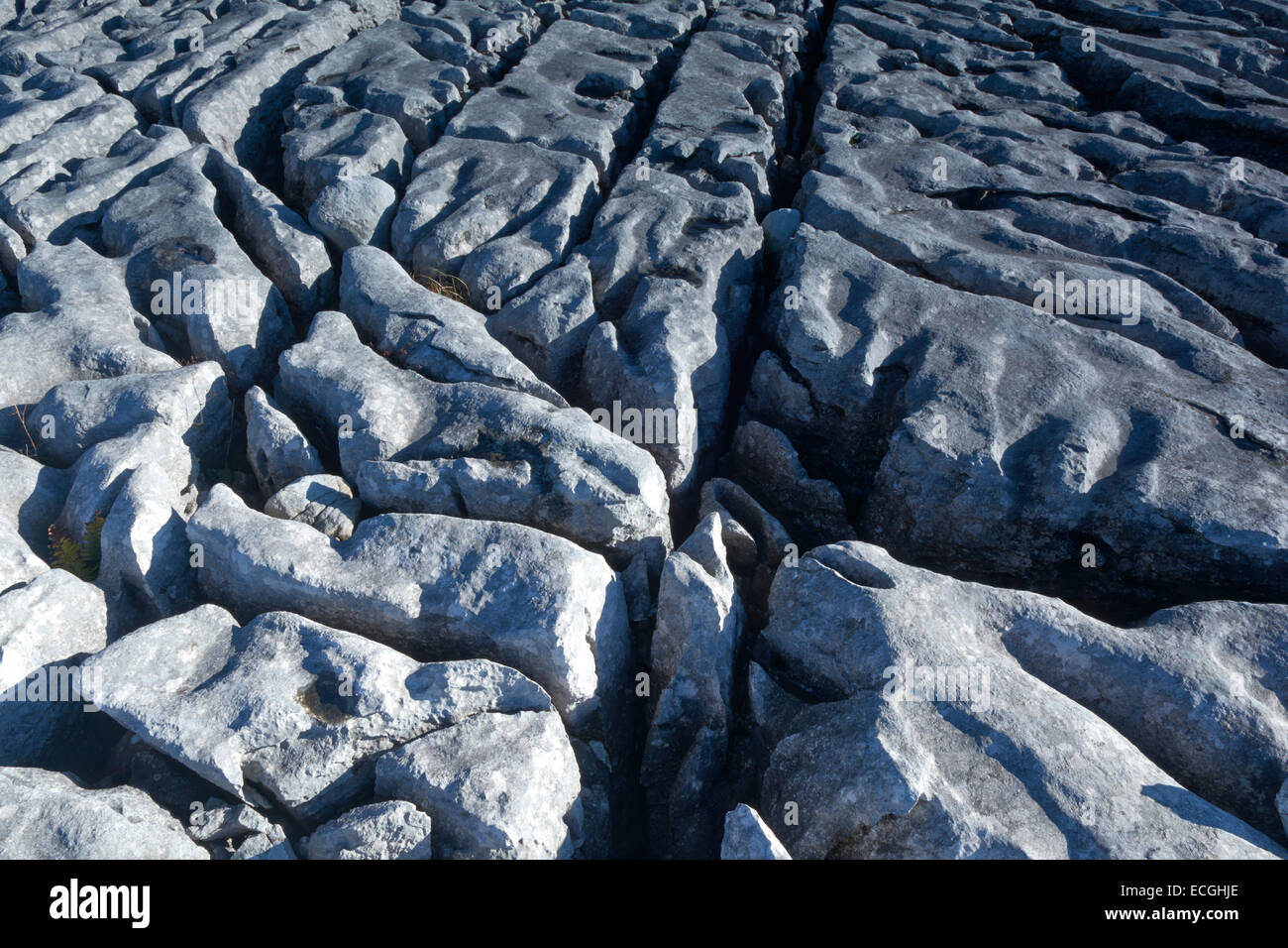Limestone pavements uk hi-res stock photography and images - Alamy