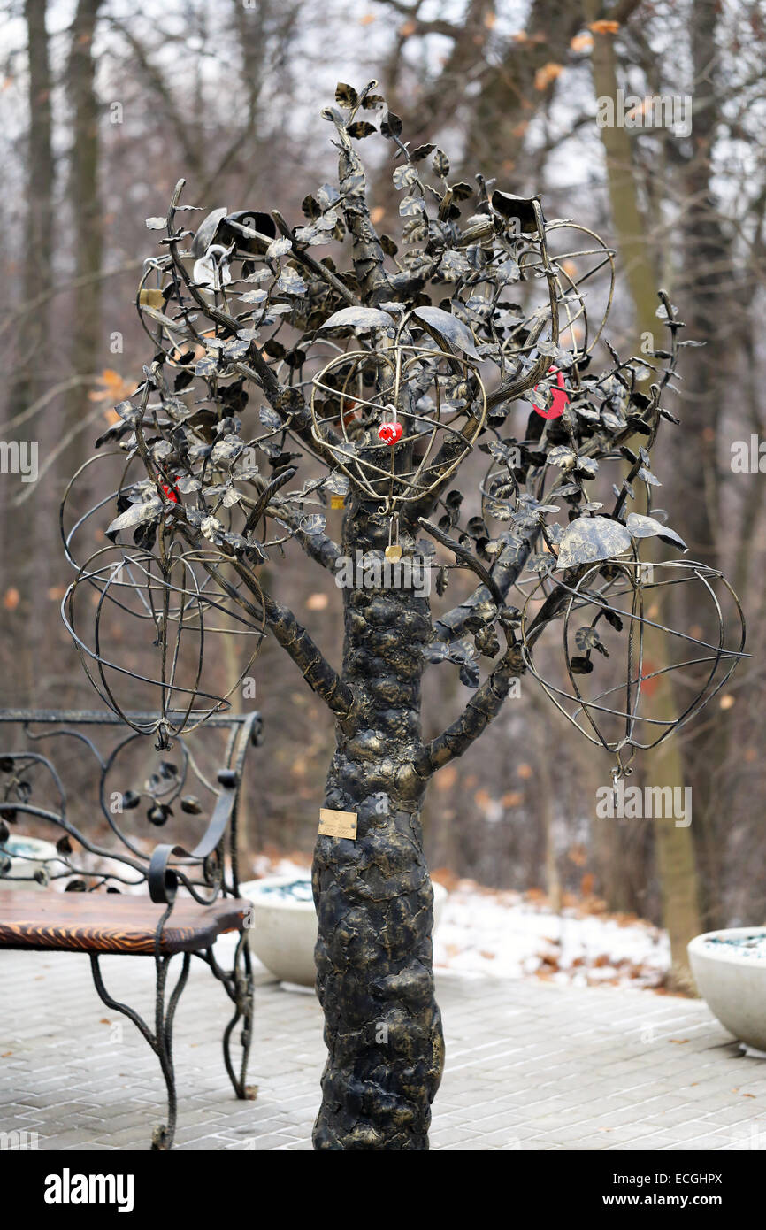 beautiful tree with long branches photographed close-up Stock Photo - Alamy