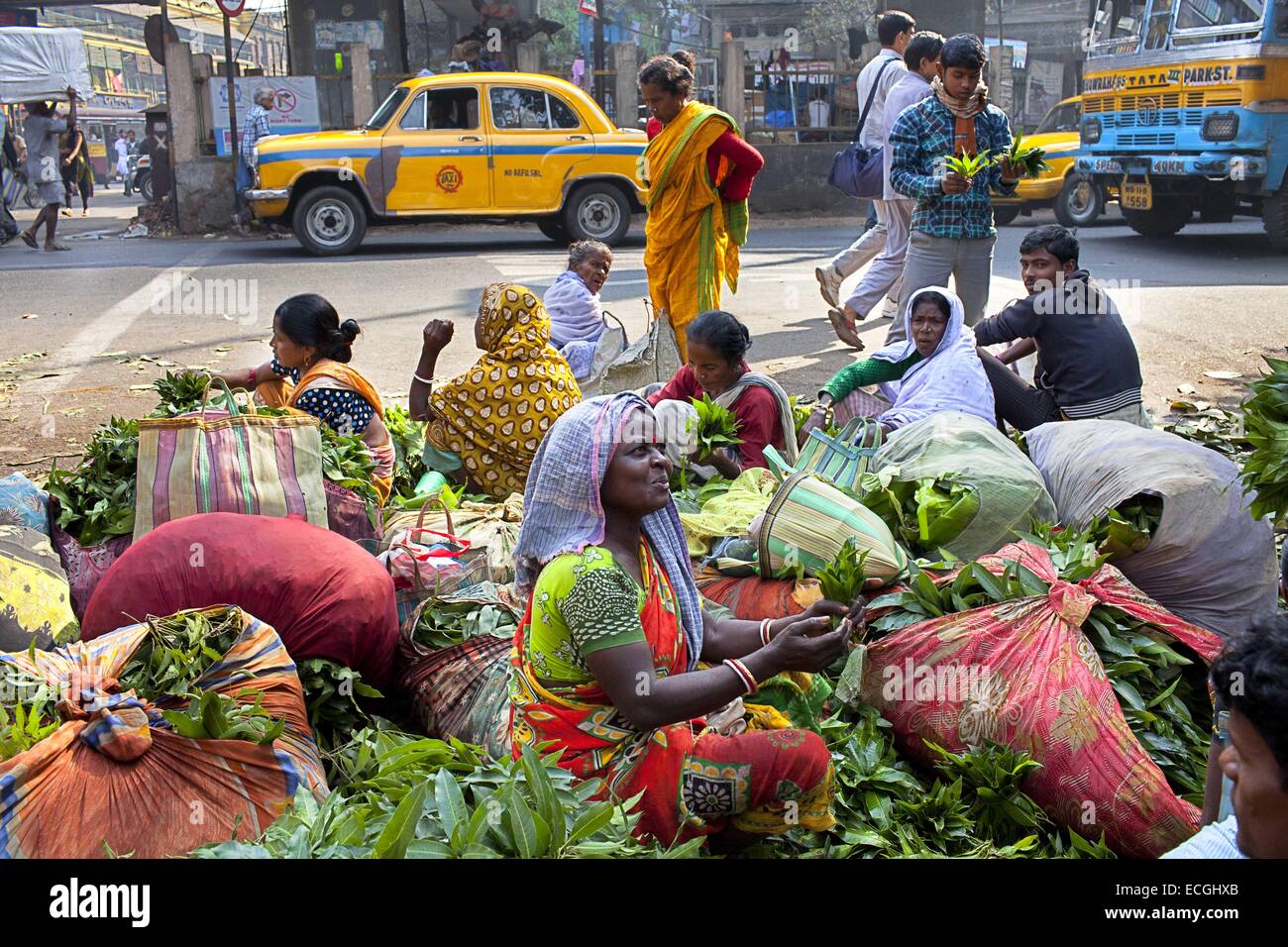 M mango hi-res stock photography and images - Alamy