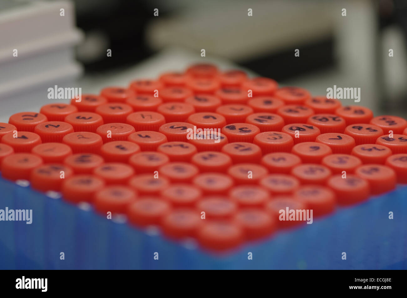 Orange and white samples hi-res stock photography and images - Alamy