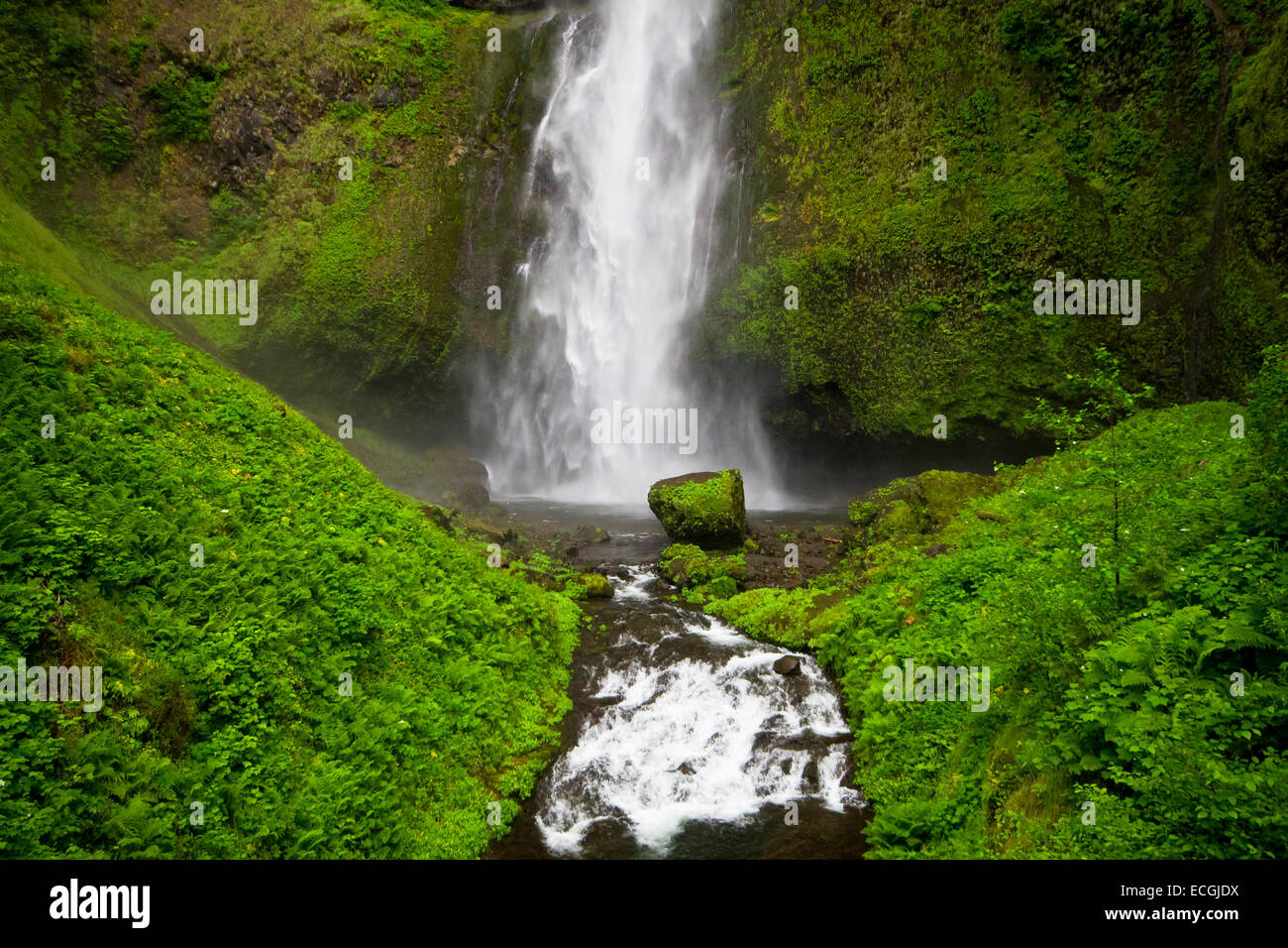 Base of Multnomah Falls, Oregon, USA Stock Photo - Alamy