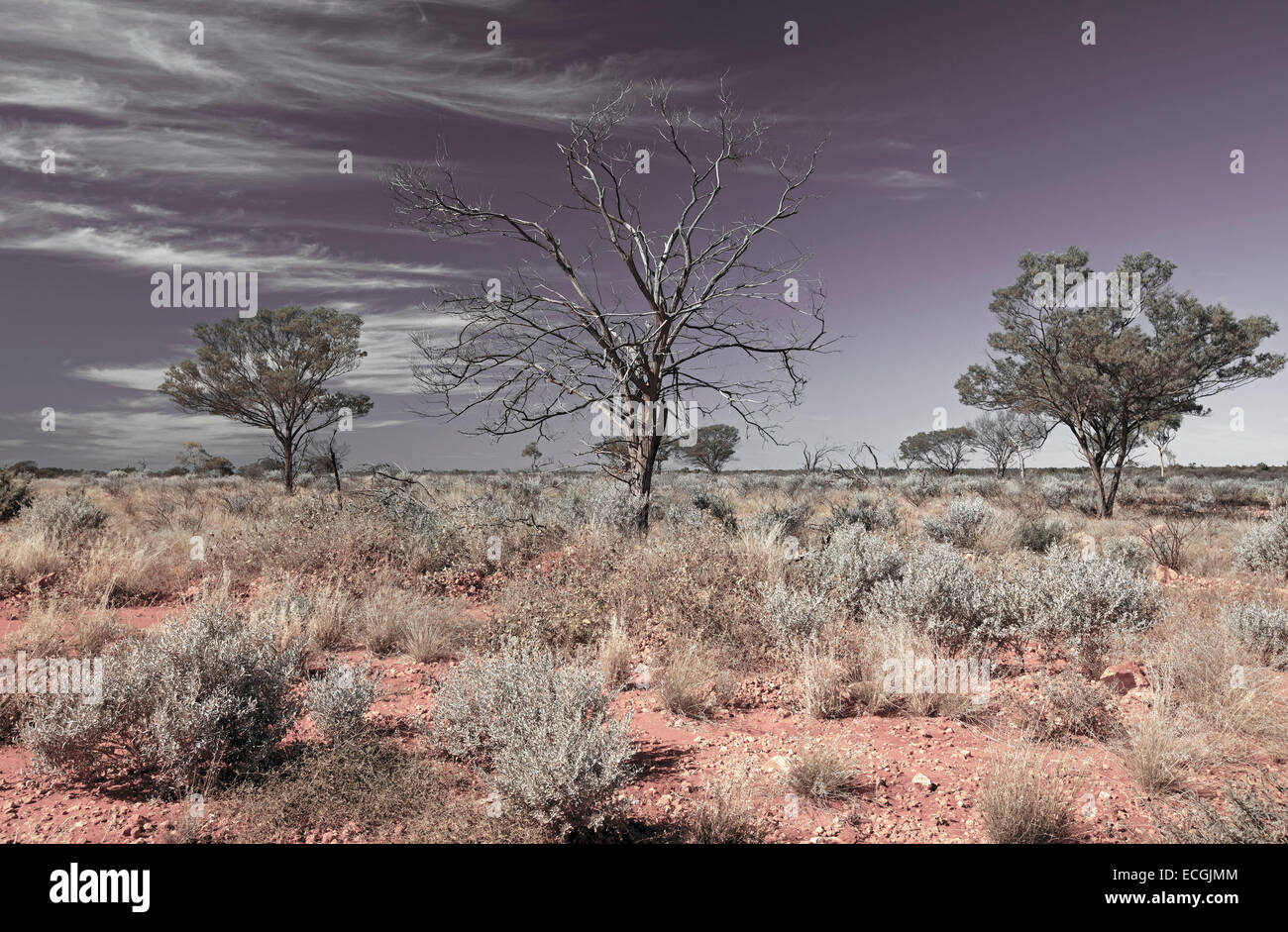 Australian outback landscape during drought, vast red plains with grey ...