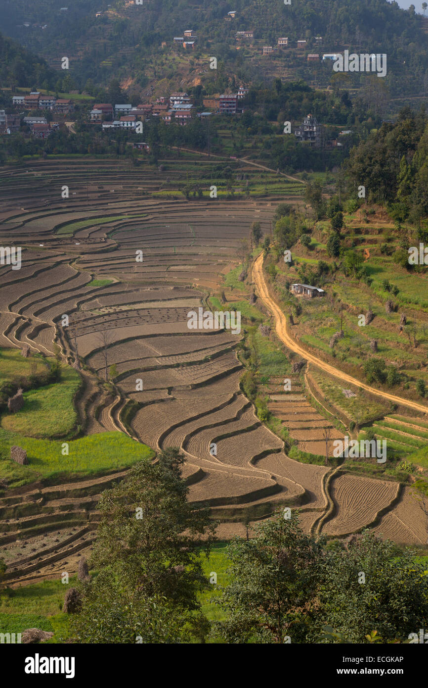 Rice terraces nepal hi-res stock photography and images - Alamy
