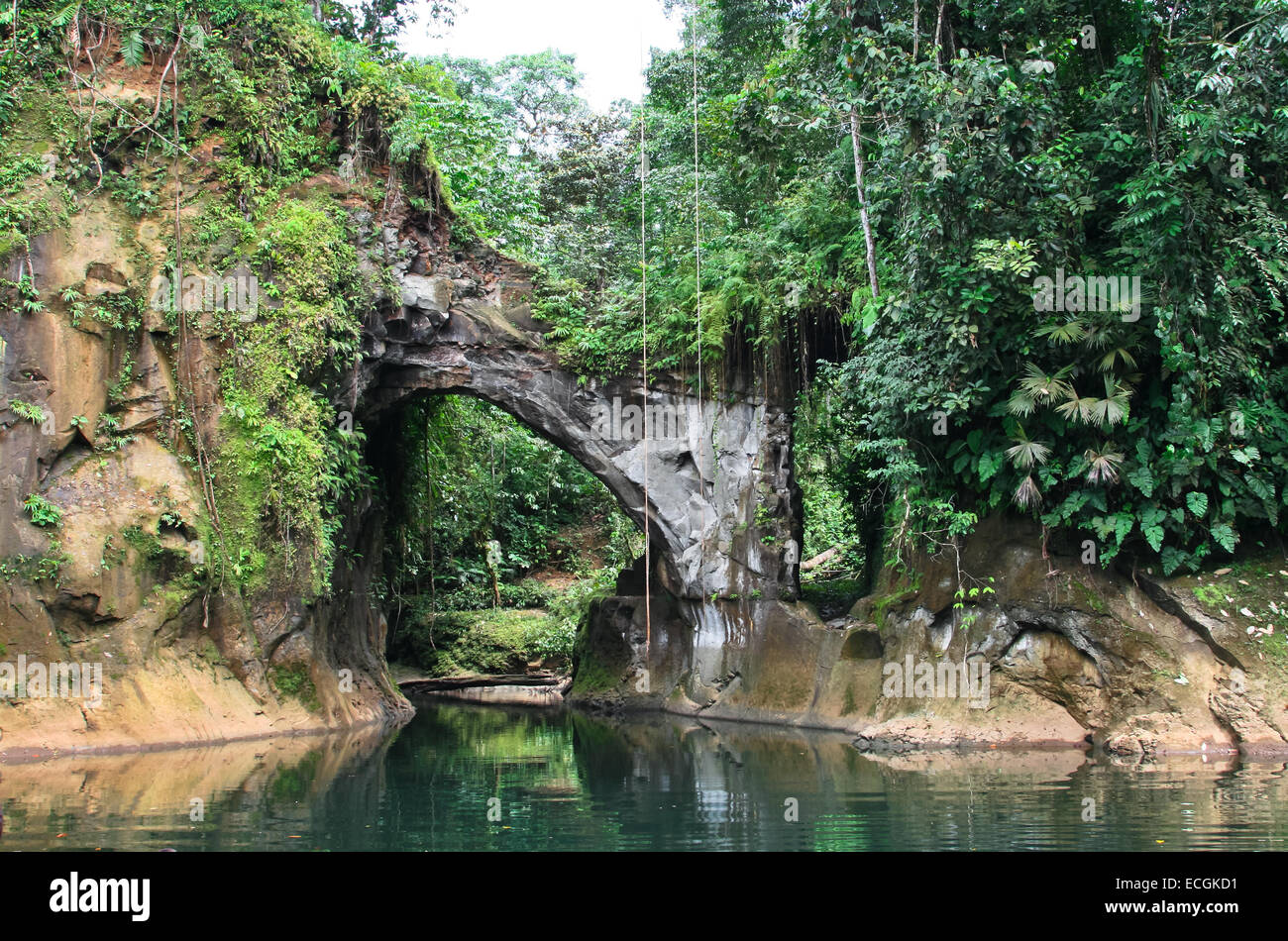 Jungle rock hi-res stock photography and images - Alamy