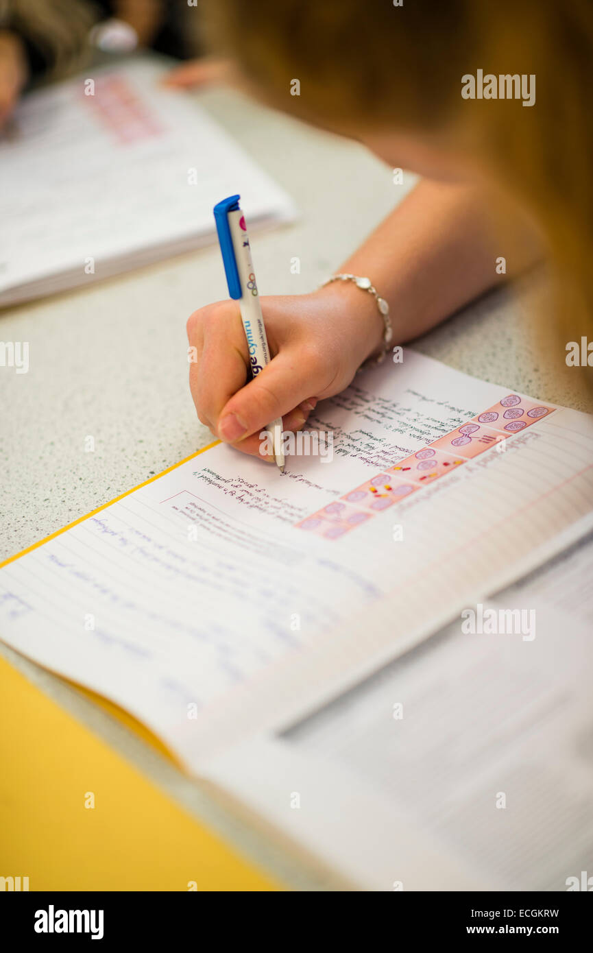 Schoolgirl uk hi-res stock photography and images - Alamy