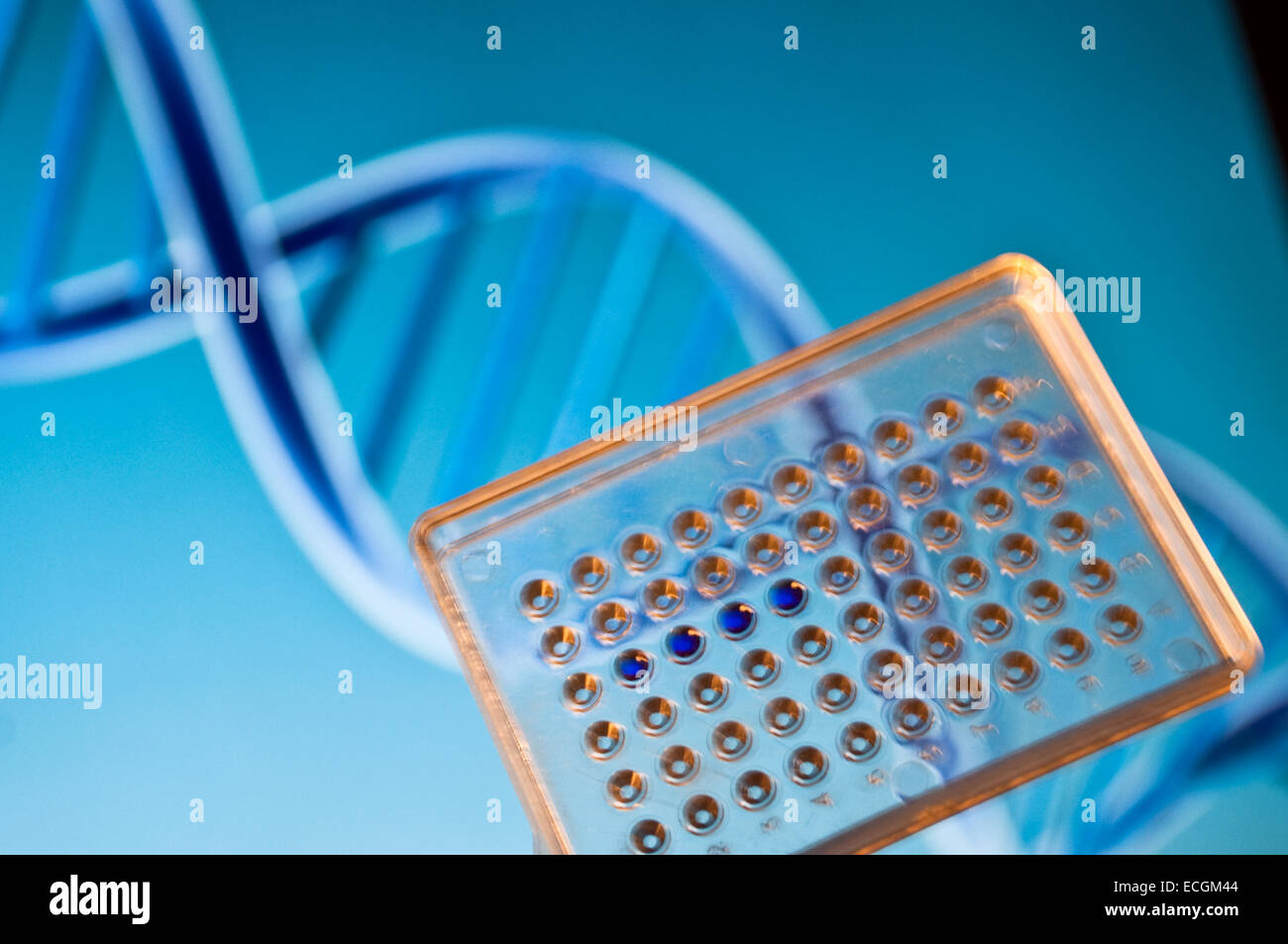 Dna sequence hi-res stock photography and images - Alamy