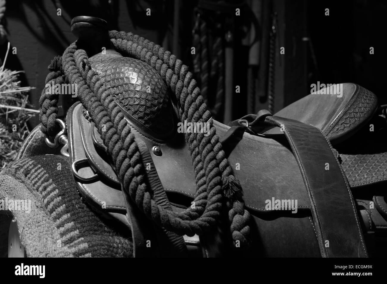 A black and white photo of a hand crafted Saddle and rope still life ...