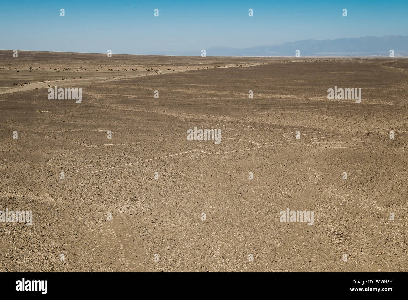 Nazca Symbols and lines in Peru, South America Stock Photo - Alamy