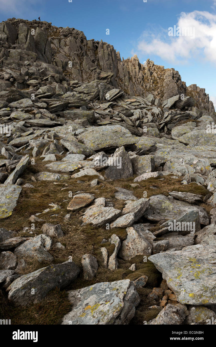 Bristly ridge hi-res stock photography and images - Alamy
