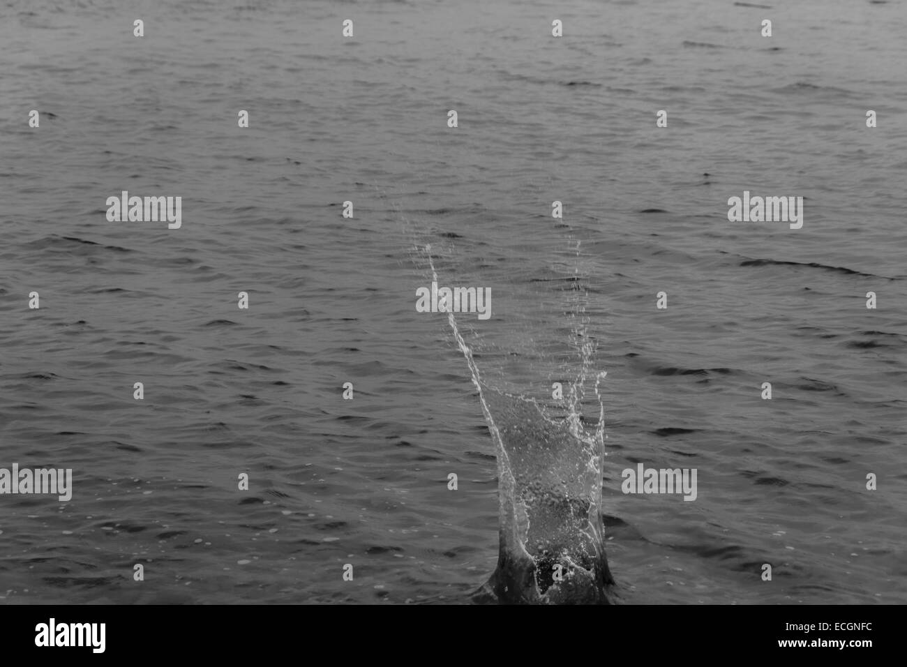 Sea ocean river water Black and White Stock Photos & Images - Alamy