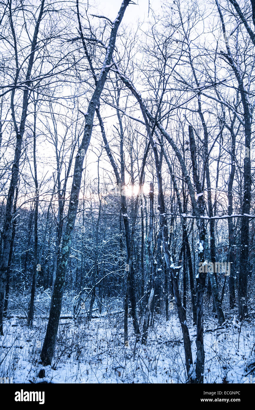 Connecticut winter scenic hi-res stock photography and images - Alamy