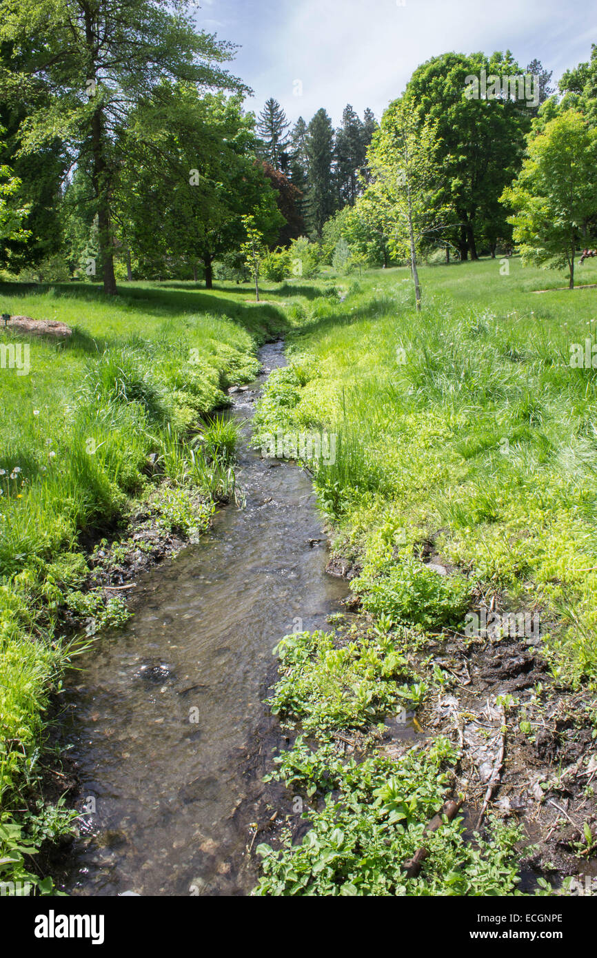 Stream through the woods Stock Photo - Alamy