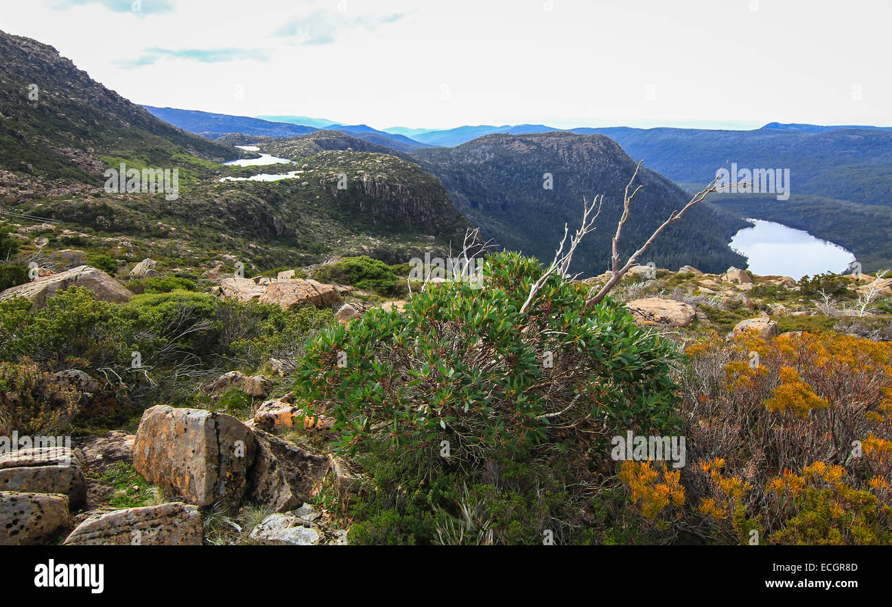 Tarn Shelf and Seal Lake in the Mt. Field National Park, Tasmania ...