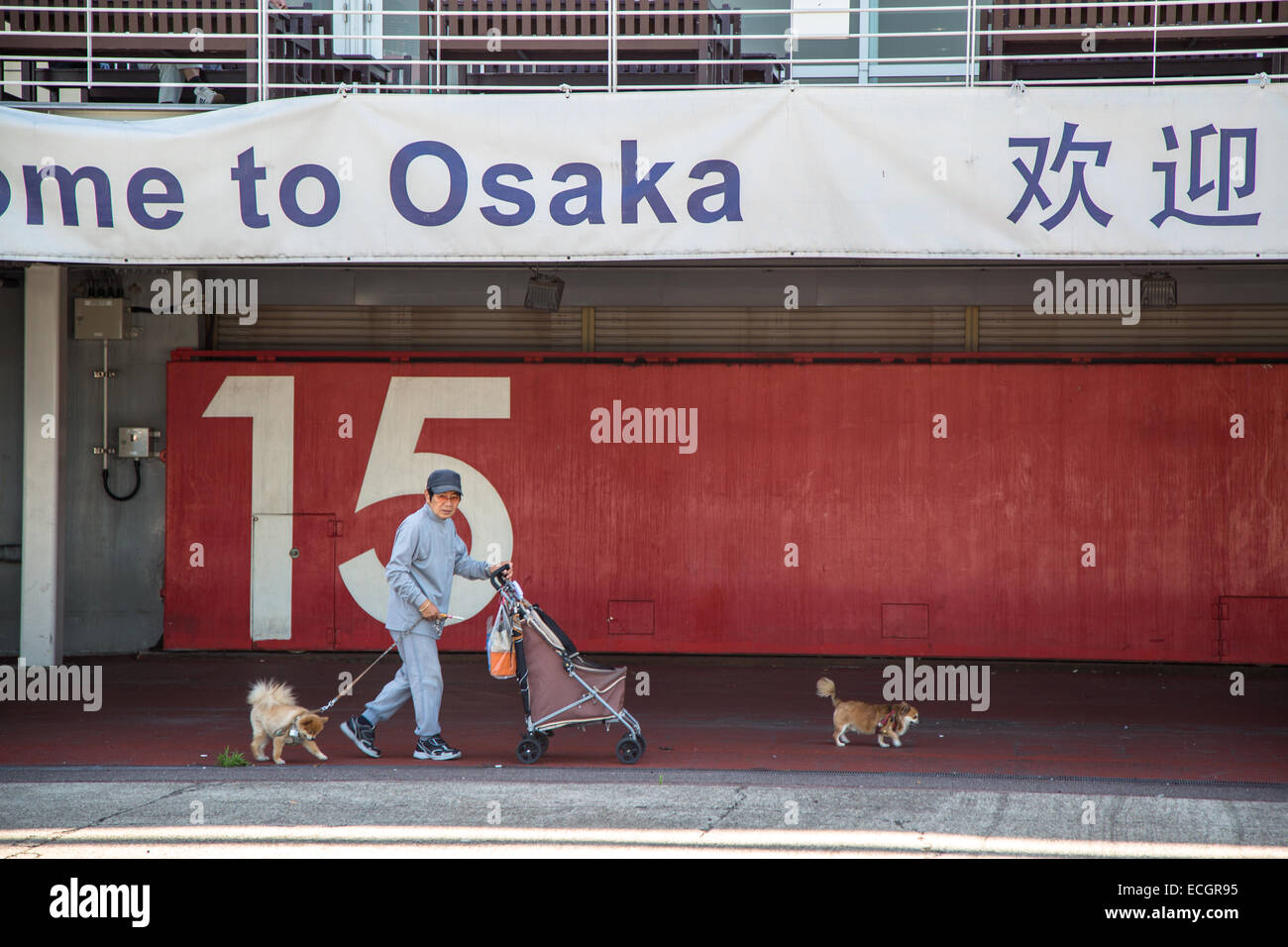 cleaning work with her dogs in Osaka harbor Stock Photo - Alamy