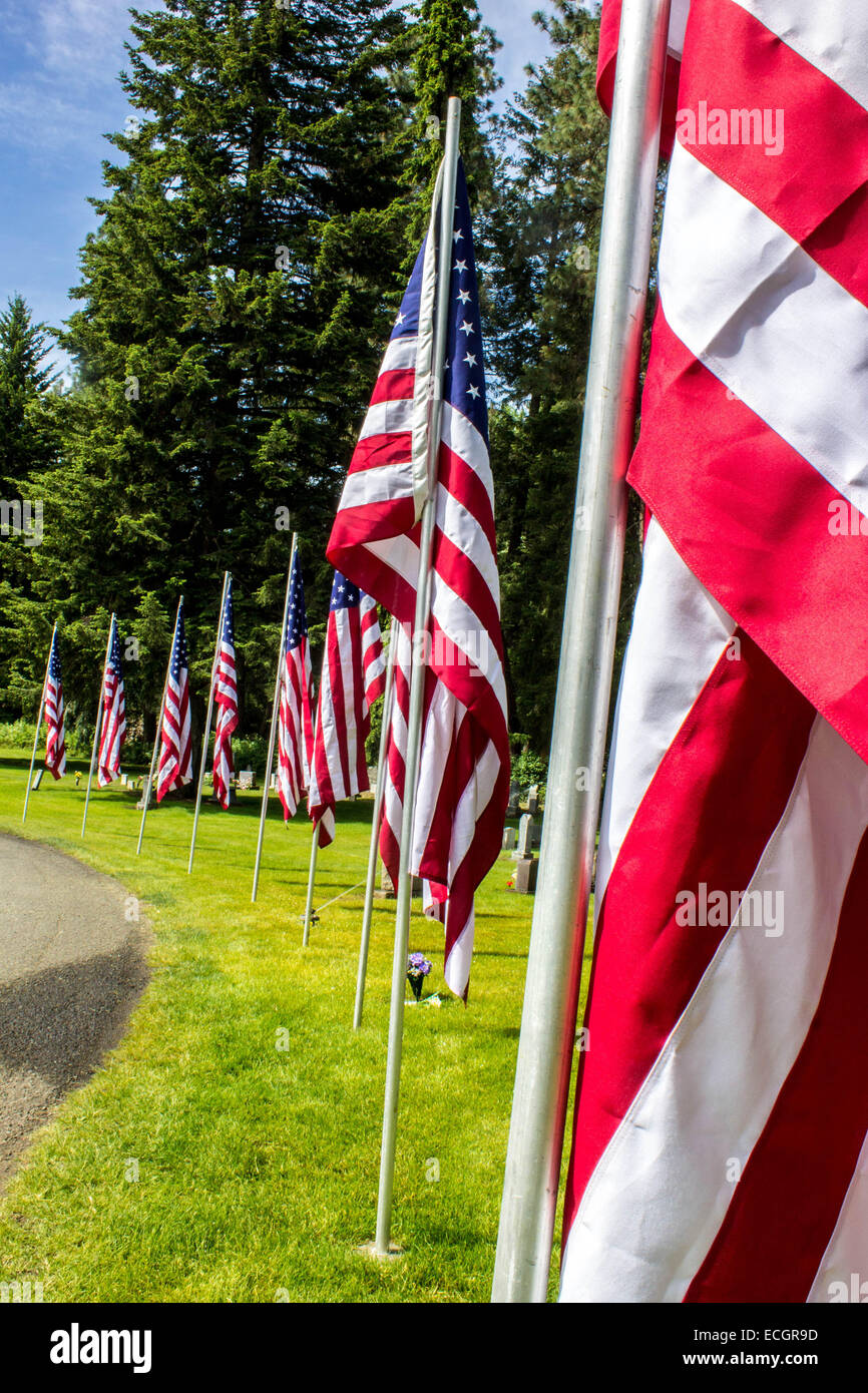 Veteran's memorial flags Stock Photo - Alamy
