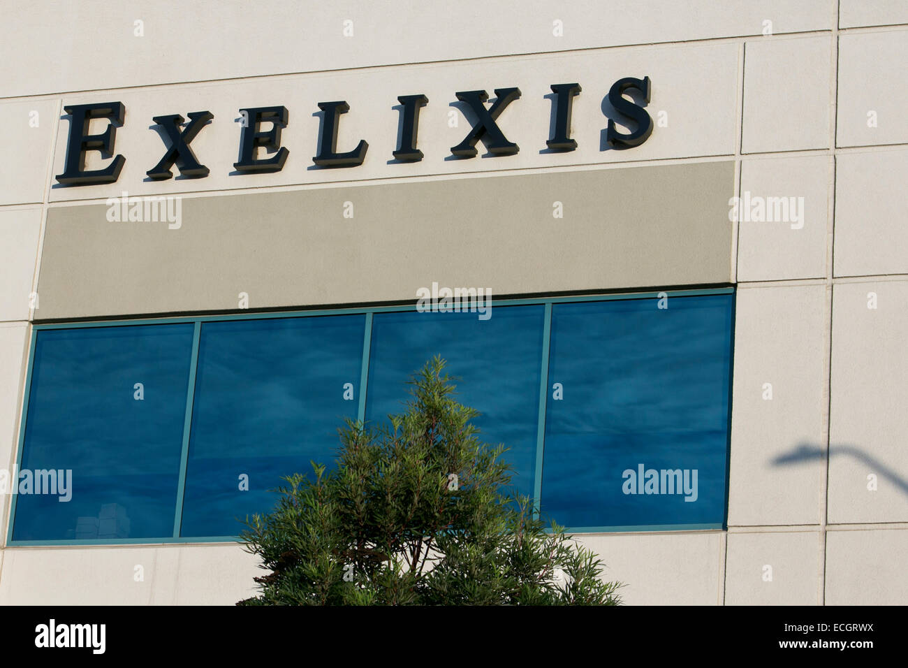 The headquarters of Exelixis Stock Photo - Alamy