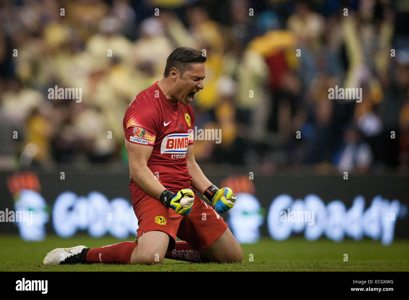 Mexico City, Mexico. 14th Dec, 2014. America's goalkeeper Moises Munoz ...