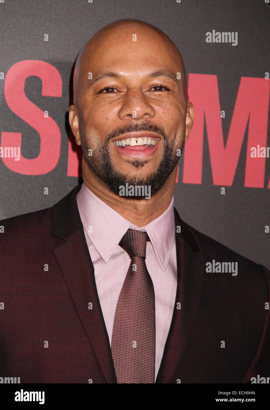 New York, USA. 14th Dec, 2014. Actor/rapper COMMON attends the New York ...