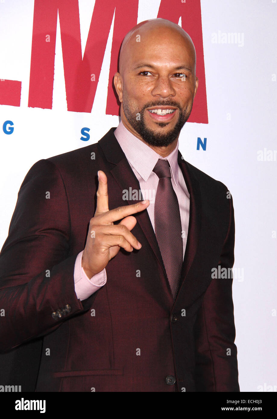 New York, USA. 14th Dec, 2014. Actor/rapper COMMON attends the New York ...