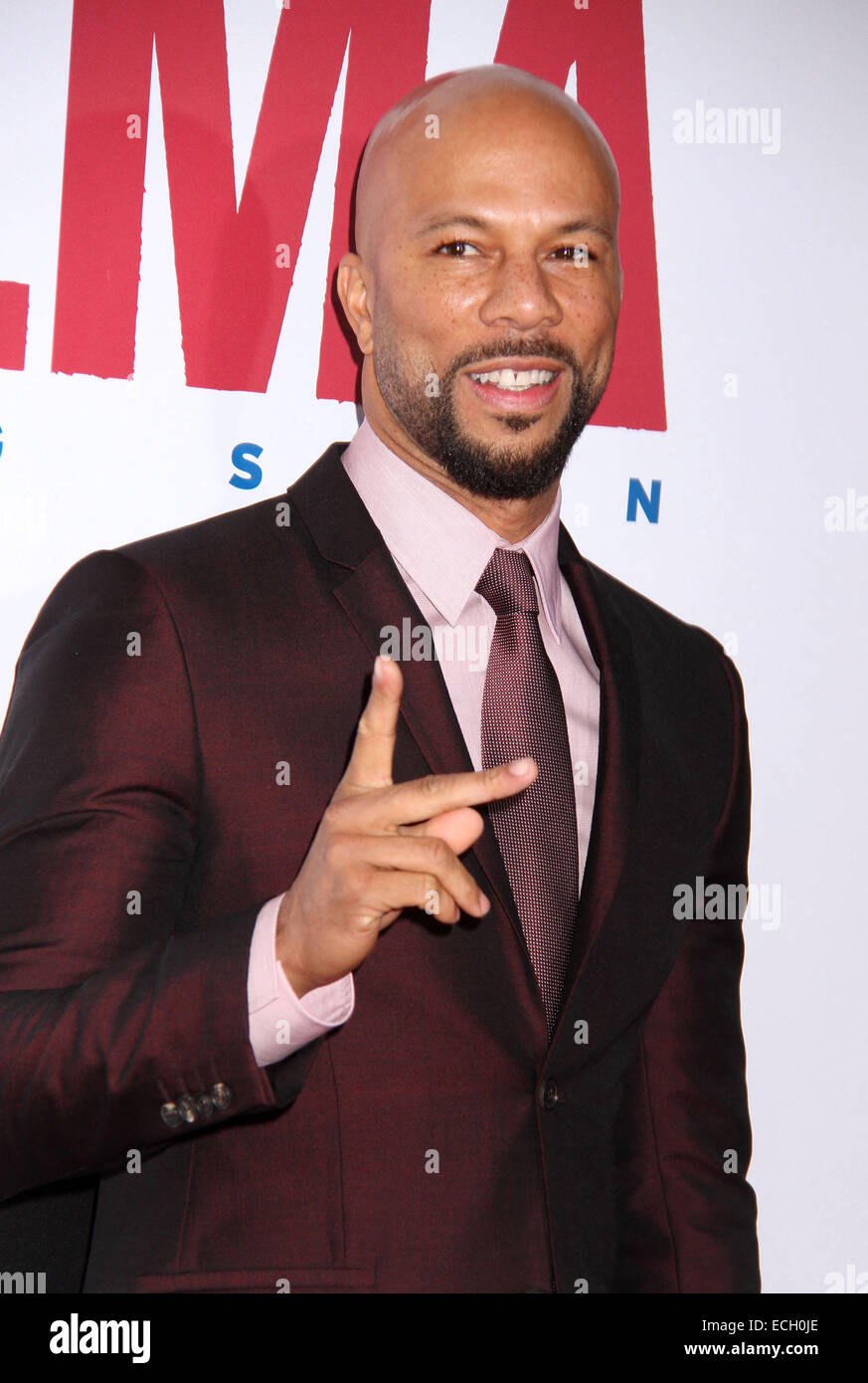 New York, USA. 14th Dec, 2014. Actor/rapper COMMON attends the New York ...