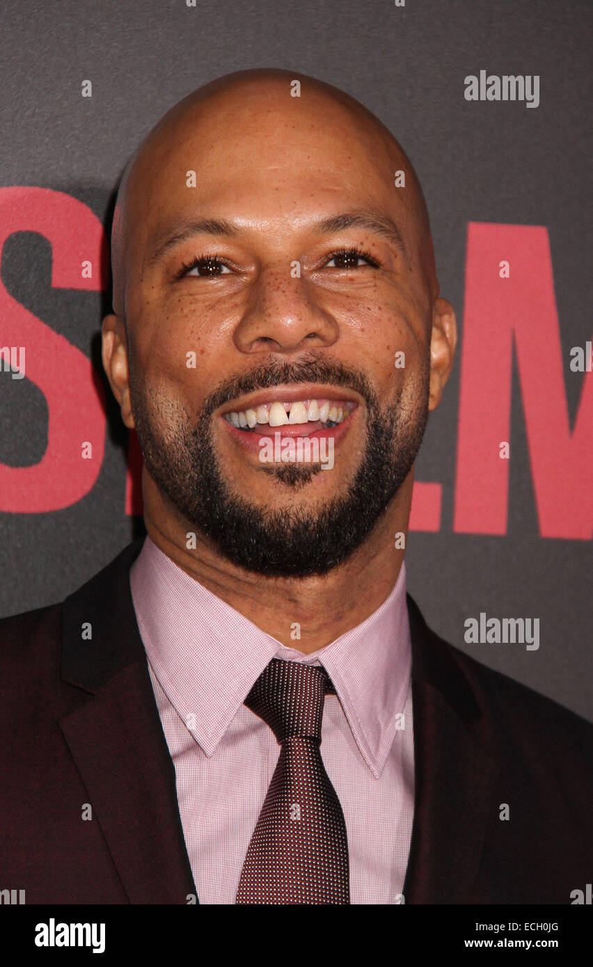 New York, USA. 14th Dec, 2014. Actor/rapper COMMON attends the New York ...