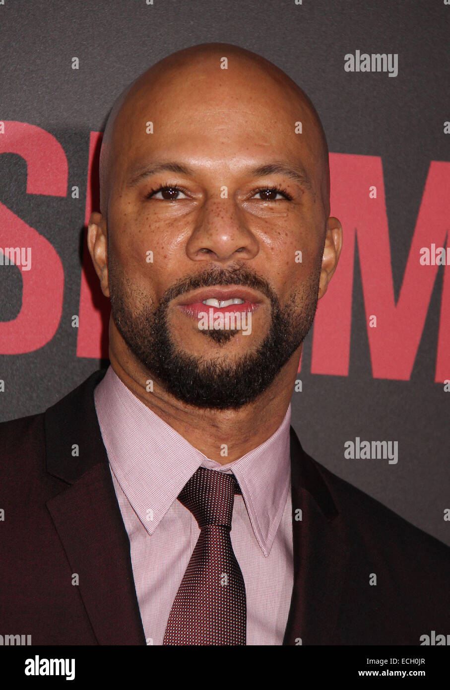 New York, USA. 14th Dec, 2014. Actor/rapper COMMON attends the New York ...