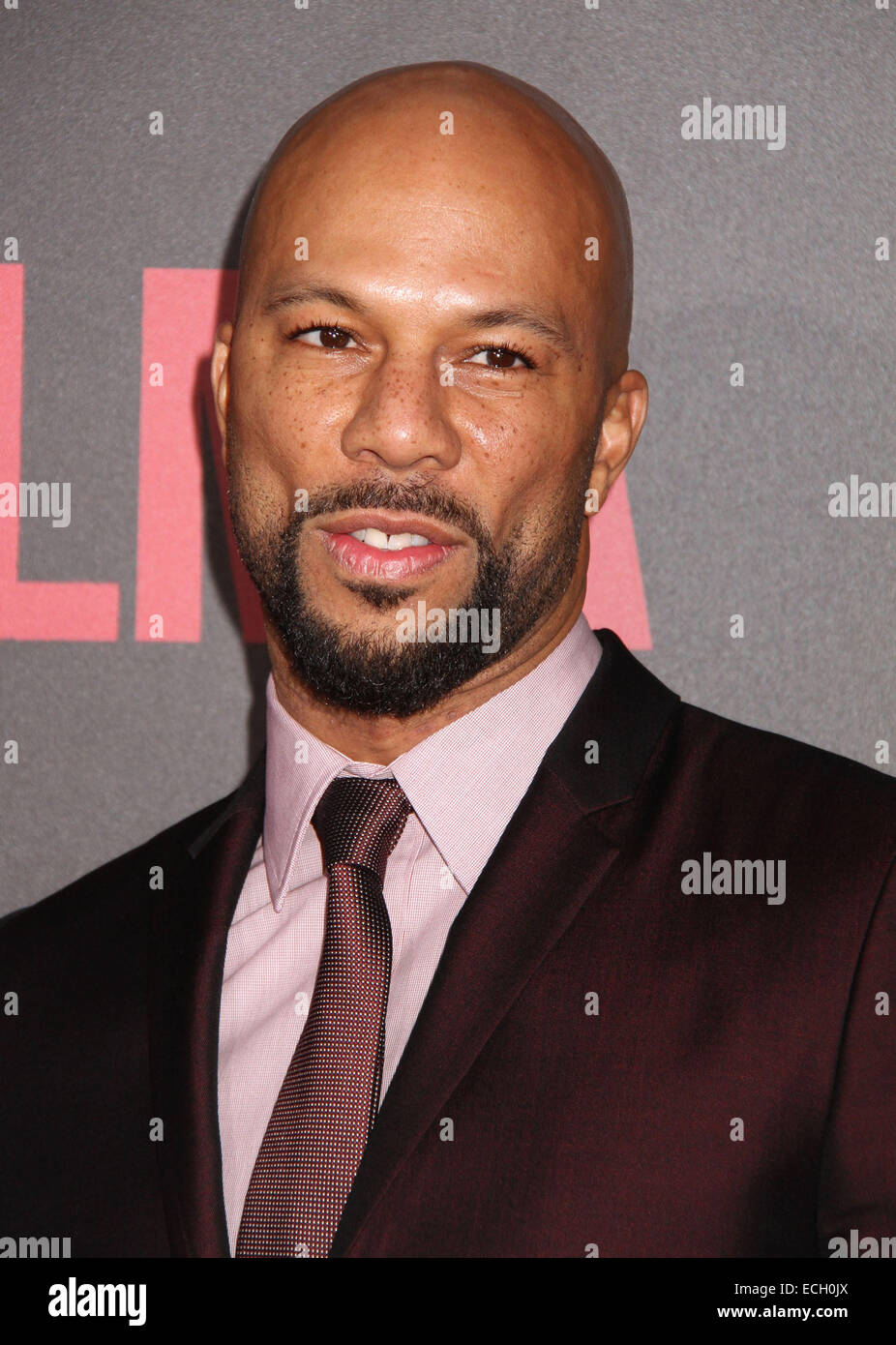 New York, USA. 14th Dec, 2014. Actor/rapper COMMON attends the New York ...