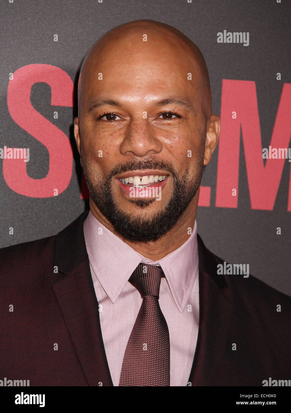 New York, USA. 14th Dec, 2014. Actor/rapper COMMON attends the New York ...