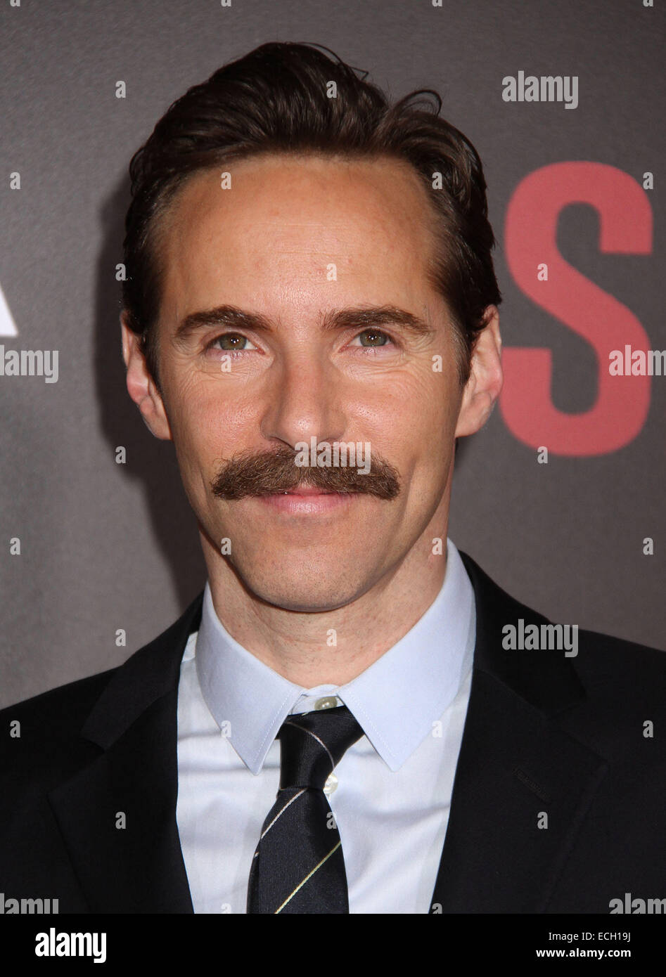 New York, USA. 14th Dec, 2014. Actor ALESSANDRO NIVOLA attends the New ...