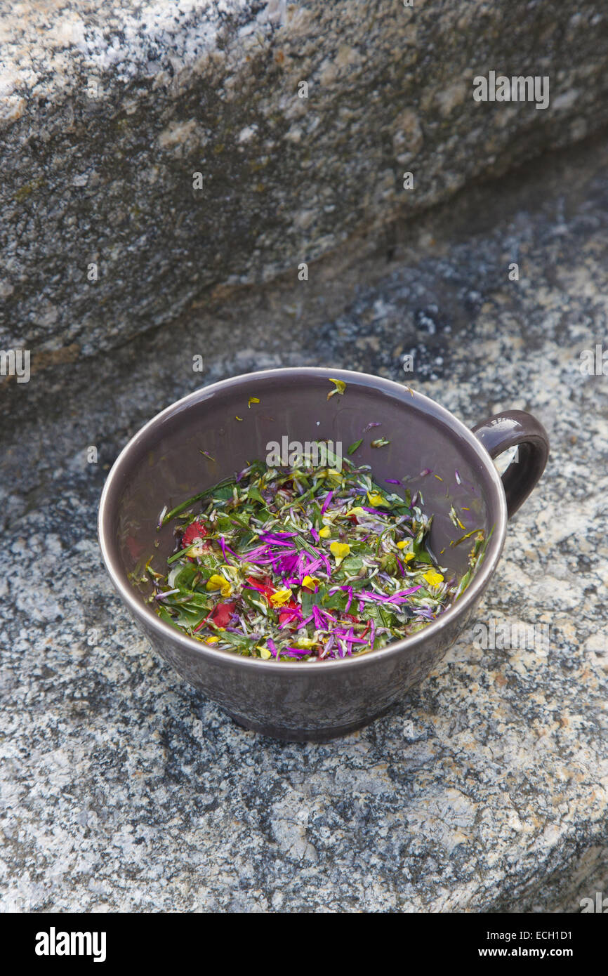colorful blossoms in bowl Stock Photo - Alamy