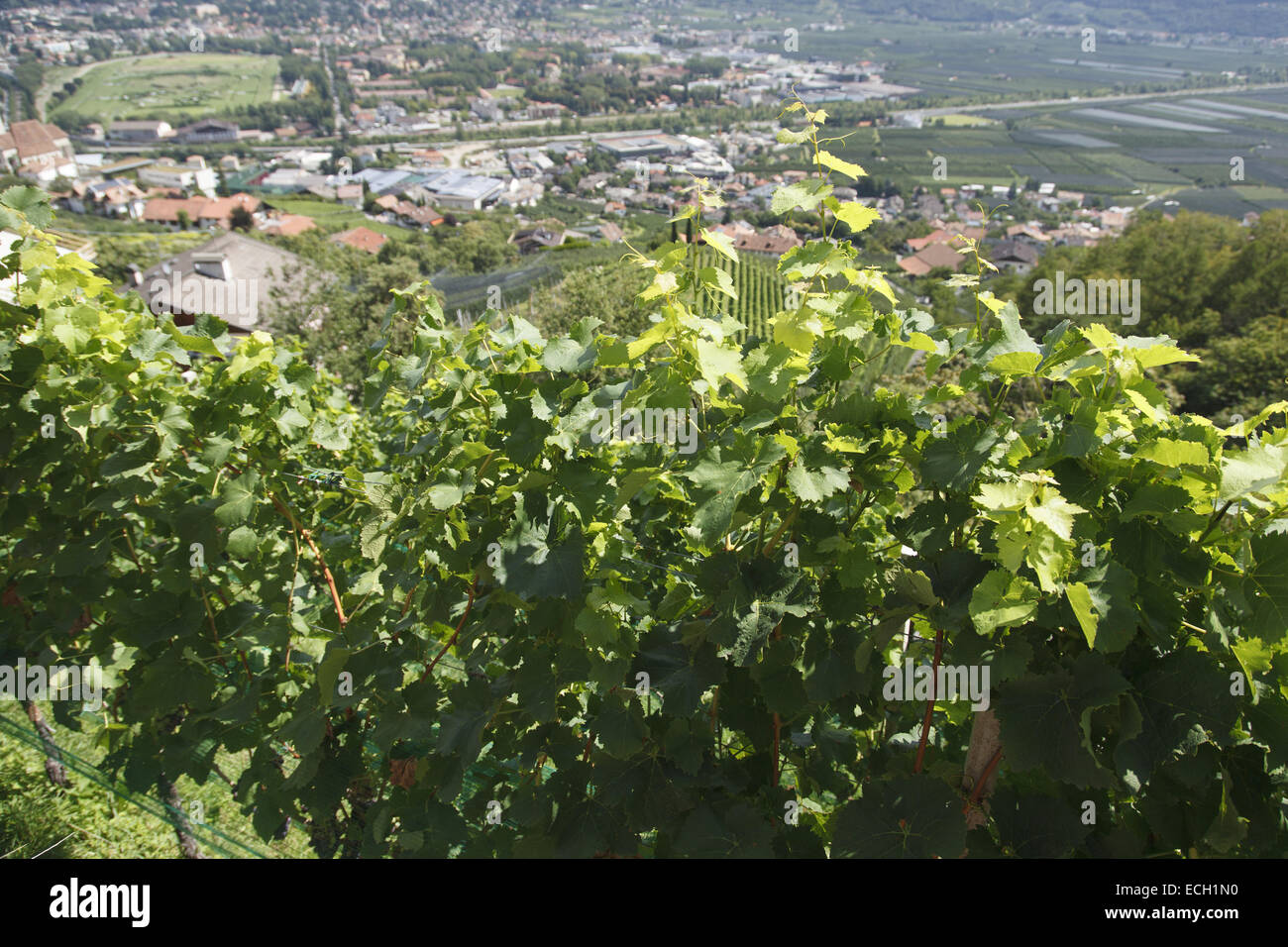 Marling waal south tyrol hi-res stock photography and images - Alamy