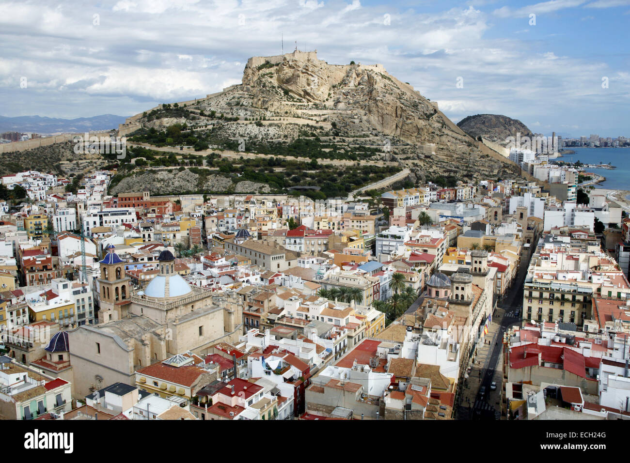 Barbara Mount's Instagram, Twitter & Facebook on IDCrawl