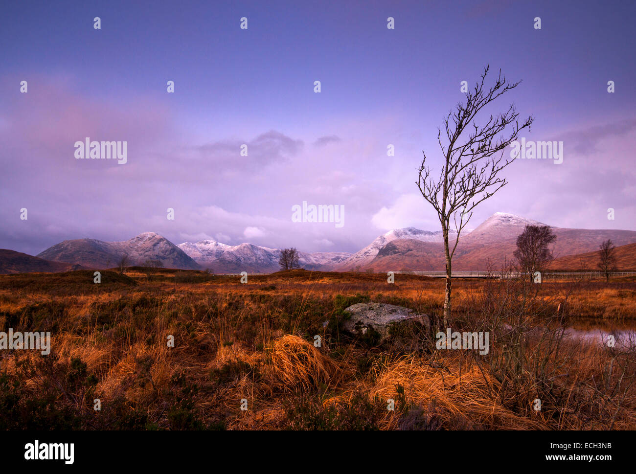 Winter sunrise at Loch Ba on Rannoch Moor in Glencoe Scotland, UK Stock ...
