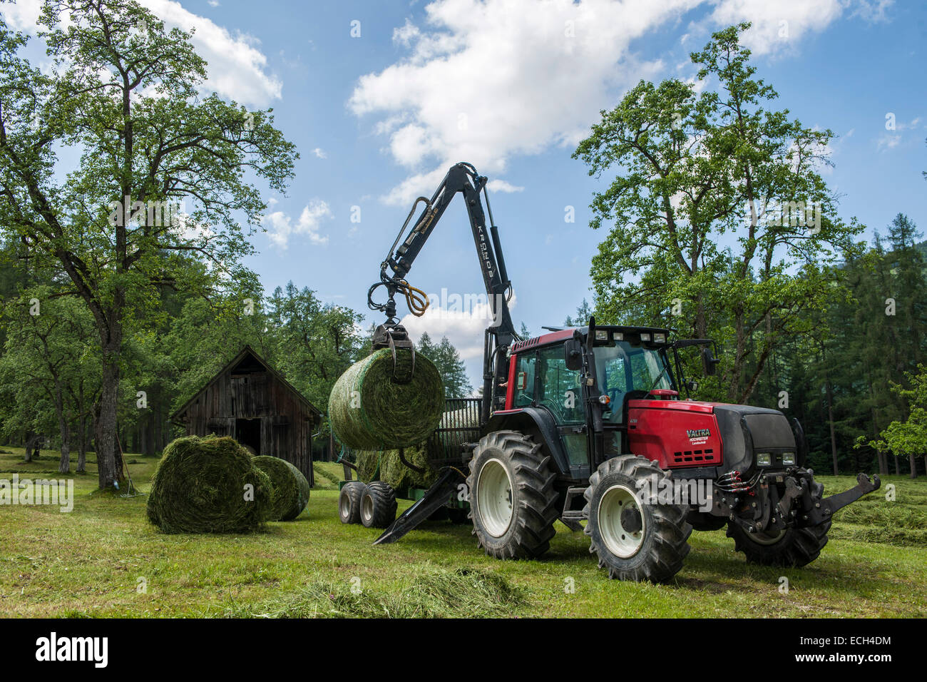 Tractor making hay, hay harvest, Upper Austria, Austria Stock Photo - Alamy