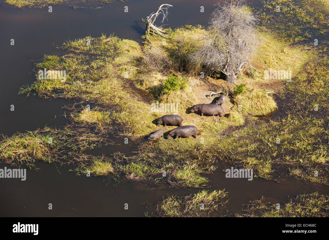 Freshwater grazing marsh hi-res stock photography and images - Alamy