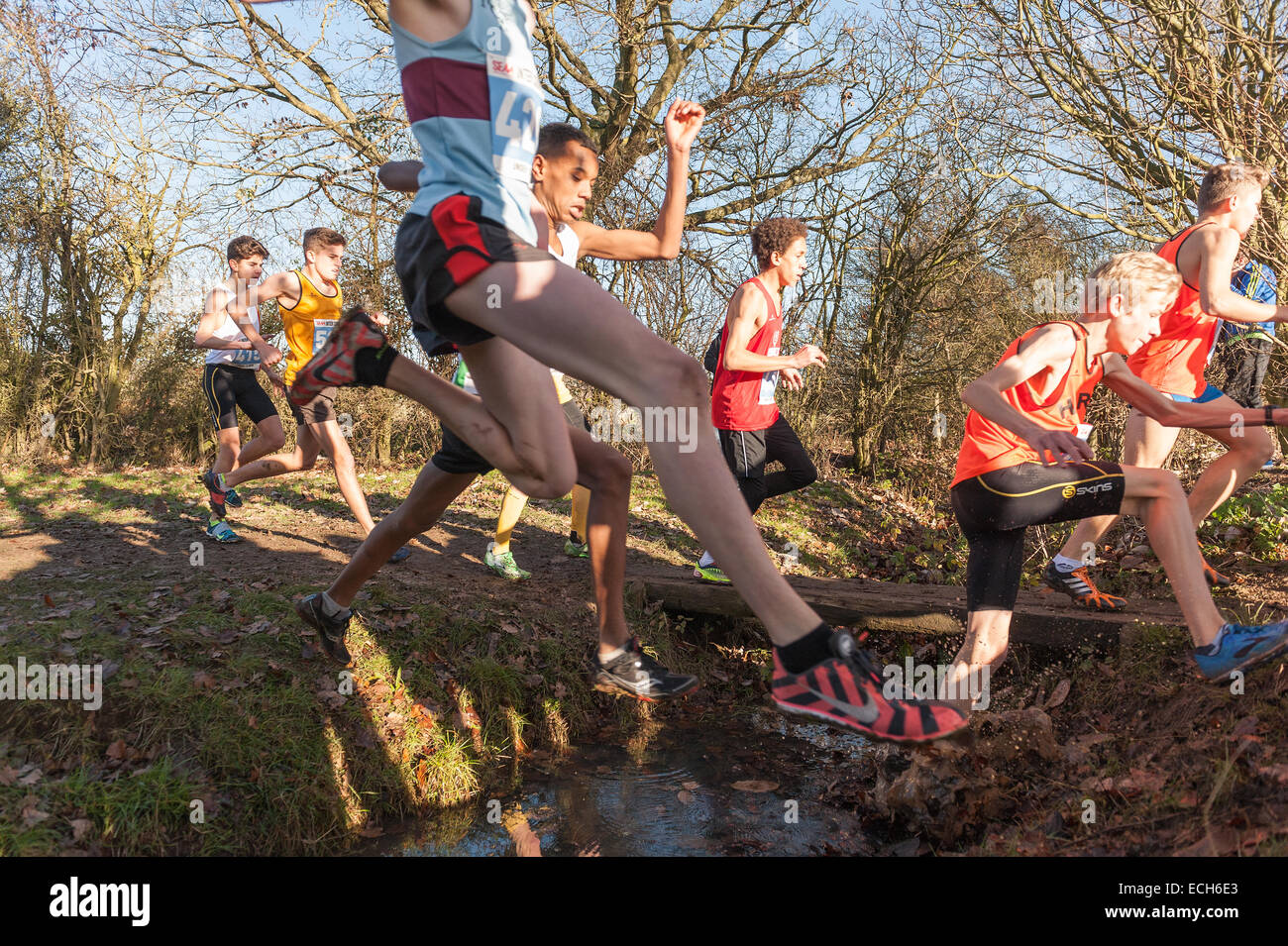 choice of small narrow foot bridge or jumping leaping the wet muddy ...