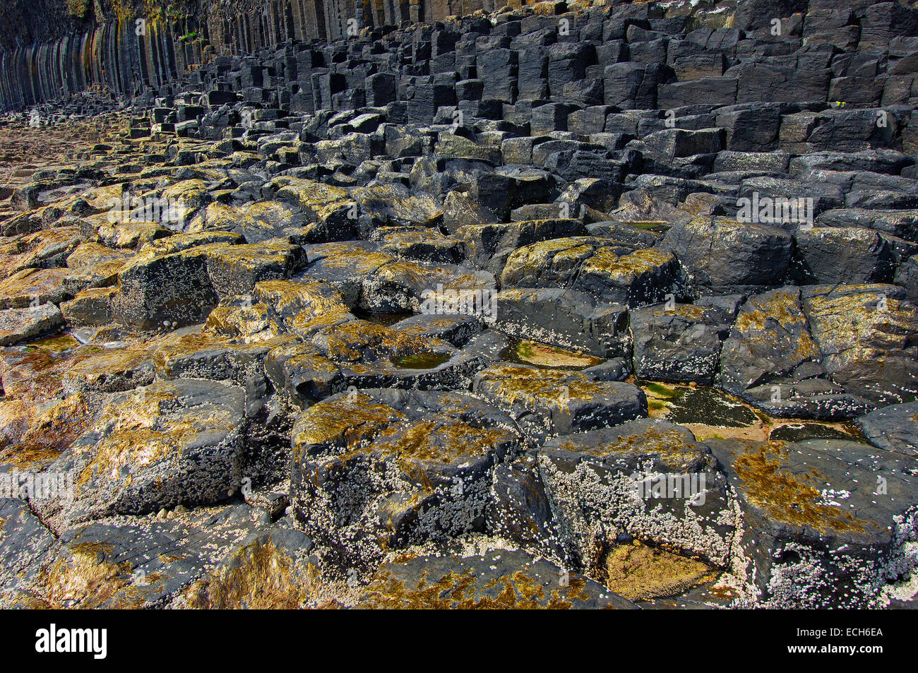 Isle of Staffa Nature Reserve, Inner Hebrides, Argyll and Bute, Mull ...