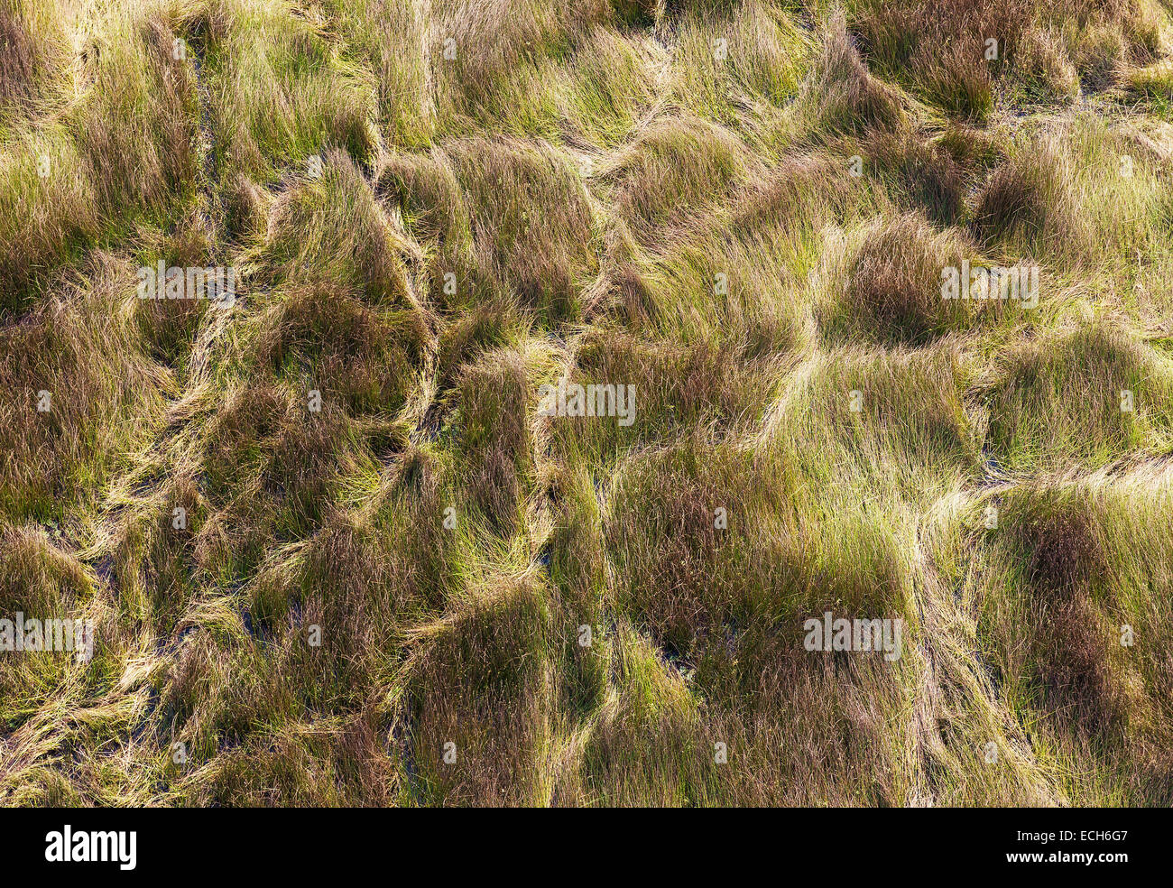 Marshland trails hi-res stock photography and images - Alamy