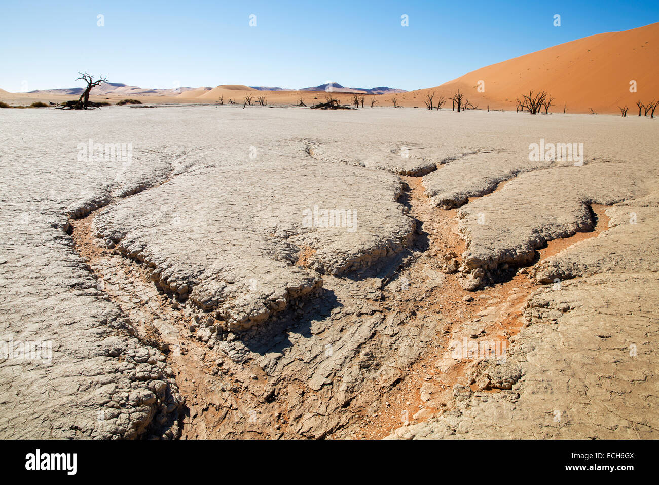 Dead earth hi-res stock photography and images - Alamy