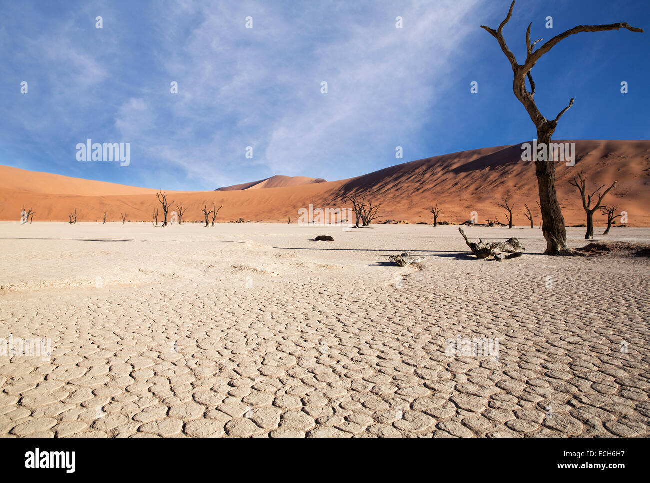 Dead earth hi-res stock photography and images - Alamy