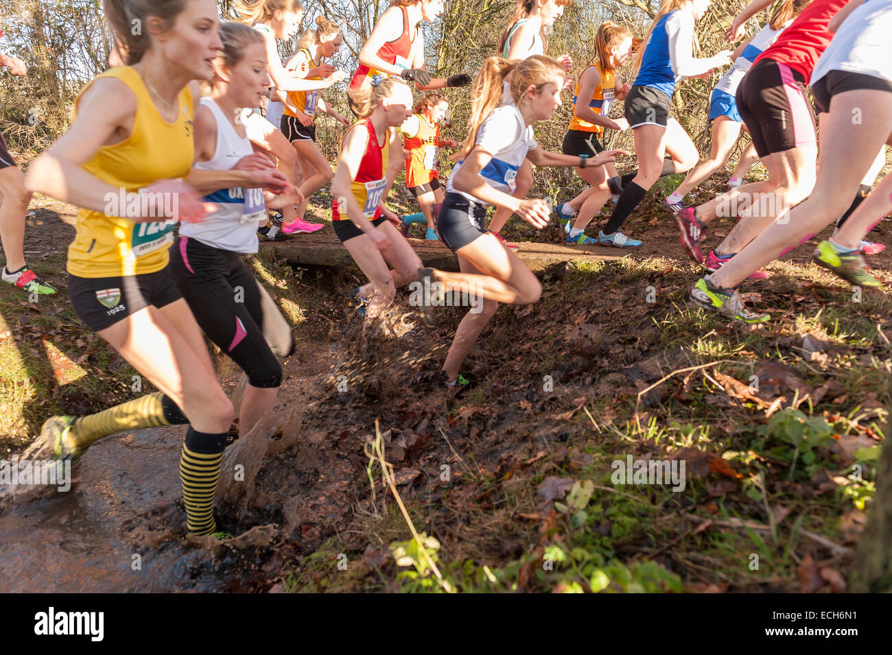 Muddy ditch hi-res stock photography and images - Alamy