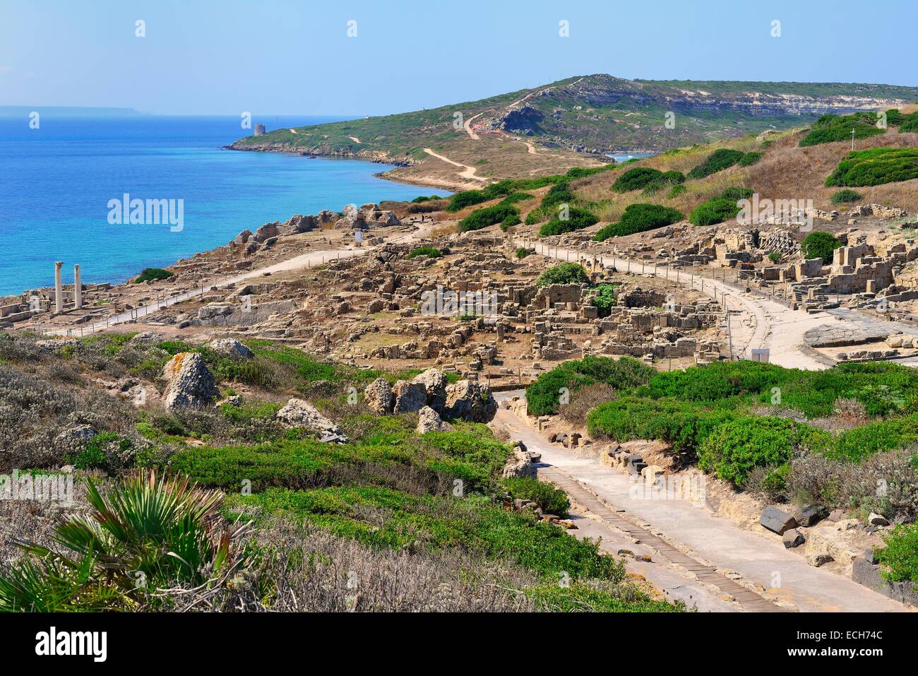 Excavations of the ancient city Tharros, Sinis Peninsula, Oristano ...