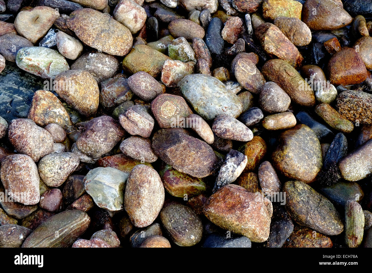 Different pebbles hi-res stock photography and images - Alamy