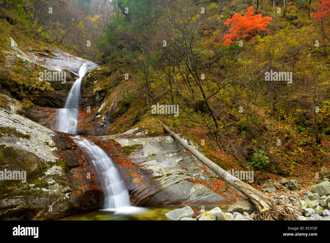 Wild river in autumn landscape, Heihe National Park, Qinling Mountain ...