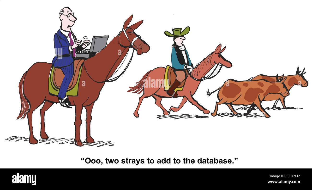 Computers and technology are used everywhere - even on cattle ranches ...