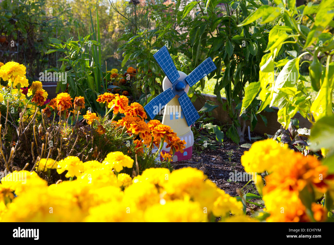 Superman movie 2014 hi-res stock photography and images - Alamy