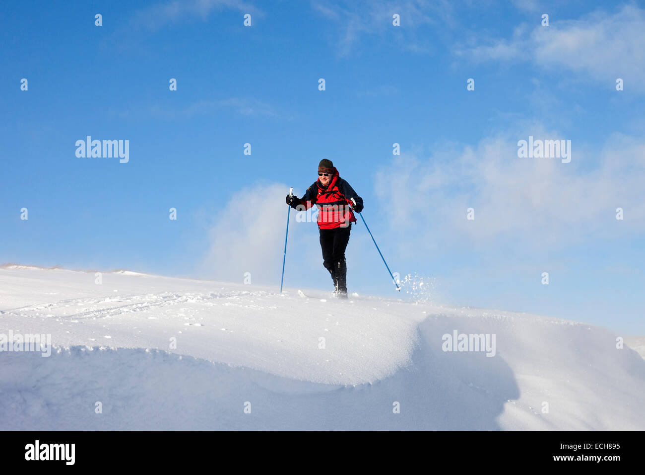 Cross Country Skier Skiing Through Drifting Snow in the North Pennines ...