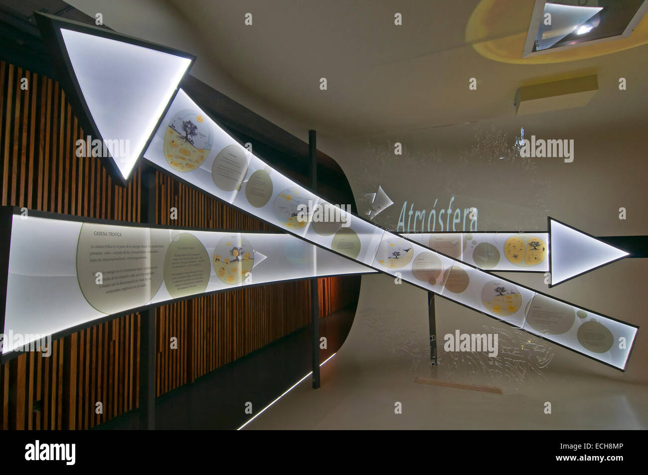 TERRA OLEUM, Olive oil museum, Mengibar, Jaen province, Region of ...