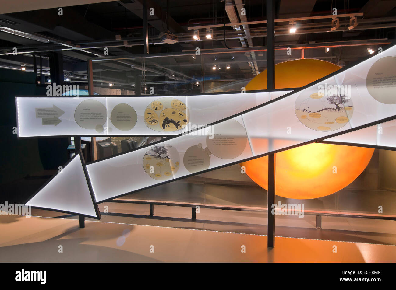 TERRA OLEUM, Olive oil museum, Mengibar, Jaen province, Region of ...