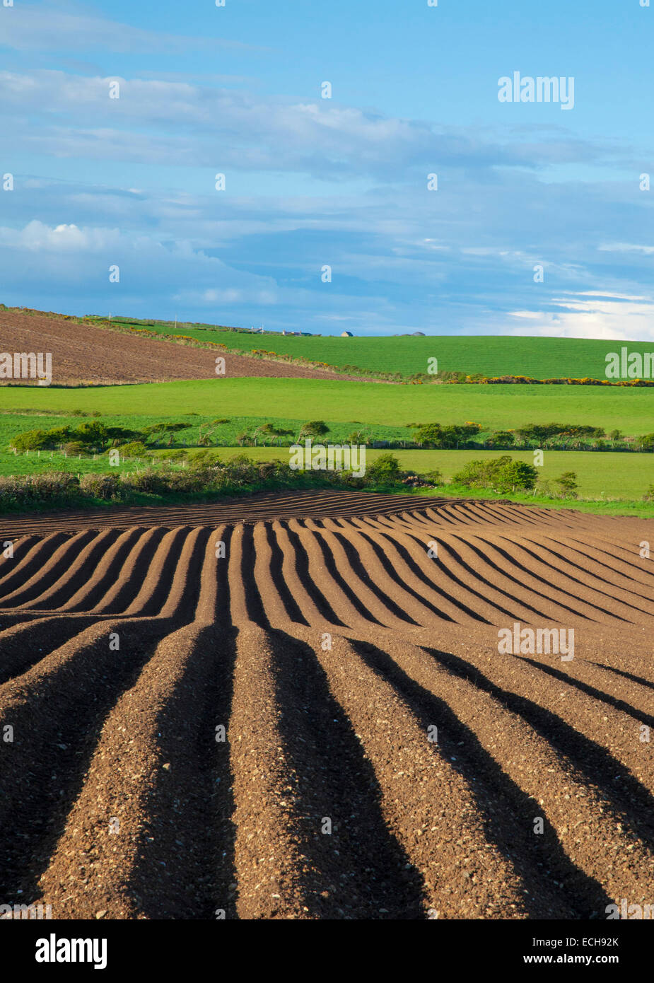Potato farming ireland hi-res stock photography and images - Alamy